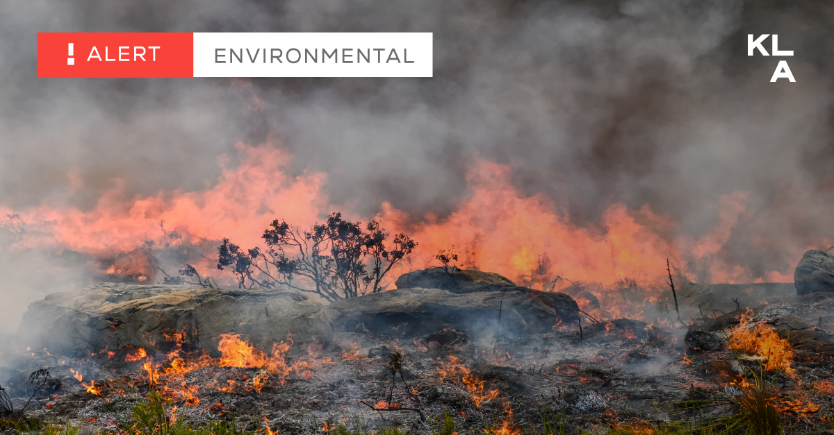 Federal Government intensifies measures to combat forest fires